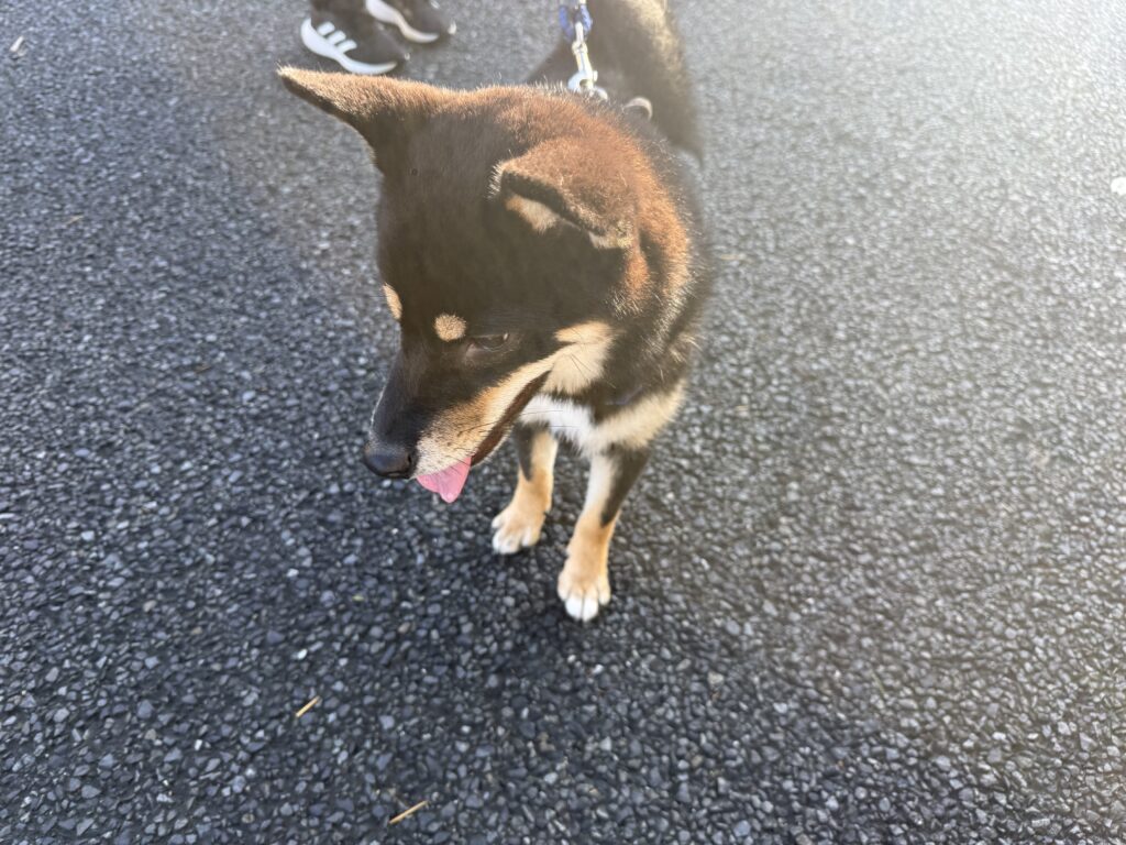 2025-11-22 - Yuzu's BlogYuzu's Blog